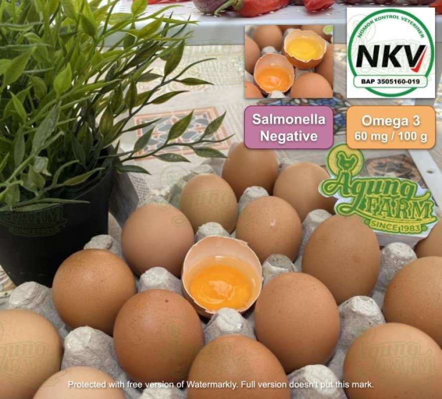 Jual Telur Agung Farm Telur Ayam Negri Negeri per 1/2 kg Curah Segar ...