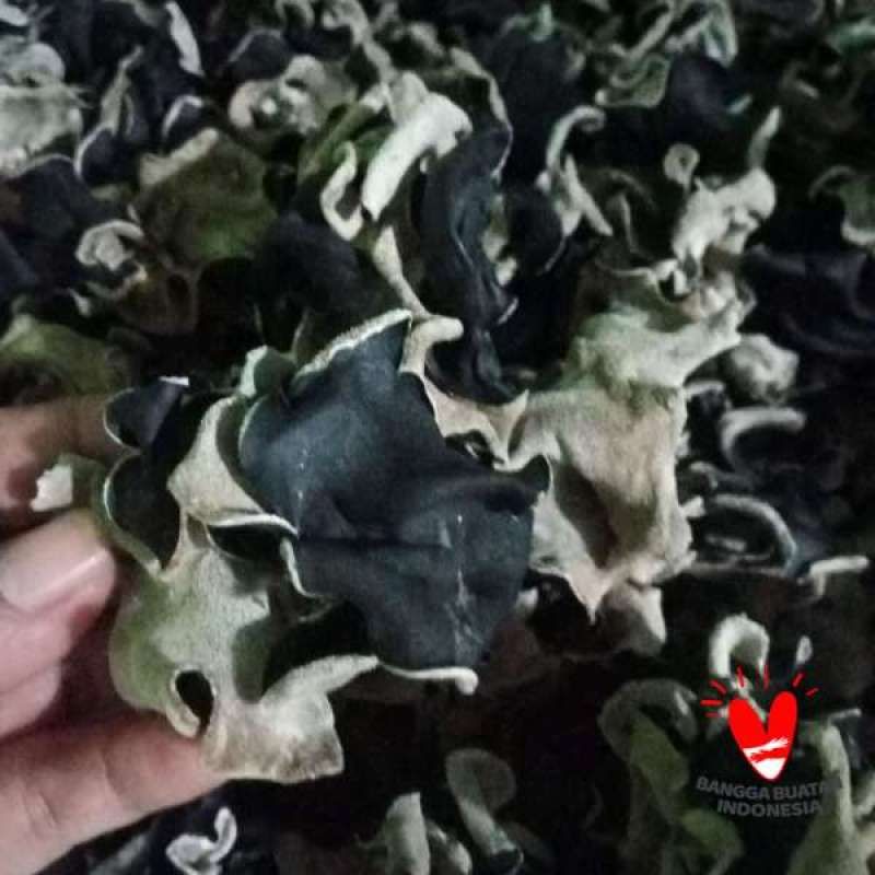 Jual JAMUR KUPING KERING HITAM 1kg di Seller Aura oldshop mente ku ...