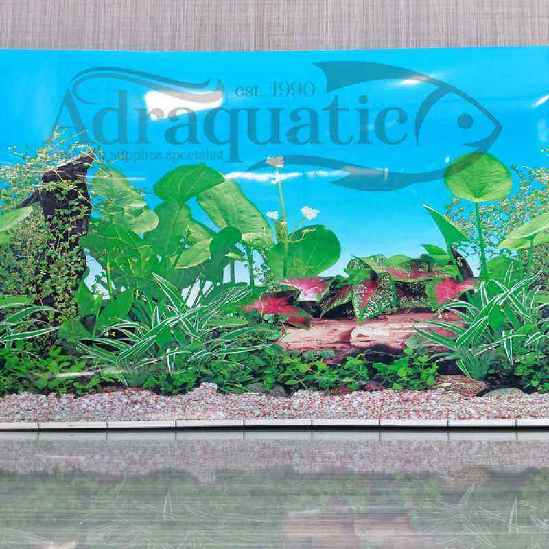 Jual Wallpaper Aquarium 60 Cm Termurah - Harga Grosir Terupdate Hari ... Jual Wallpaper Aquarium 60 Cm Termurah - Harga Grosir Terupdate Hari ...