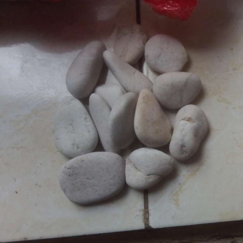 Jual batu koral / coral putih hiasan taman berbagai ukuran kemasan ...