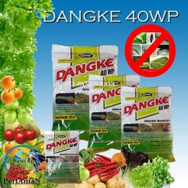 Jual Obat Hama Tanaman Pertanian Insektisida DANGKE 40 wp 100gr di ...
