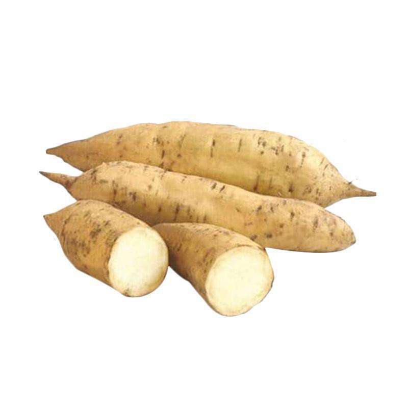 Jual SMARTMART Ubi Putih Makanan Segar [1kg] Halal di Seller RATUKUOTA ...
