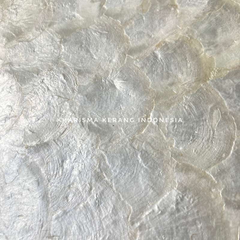 Jual Laminated Capiz Shell White (pelunakan Kerang Capiz) Capiz Shell ...