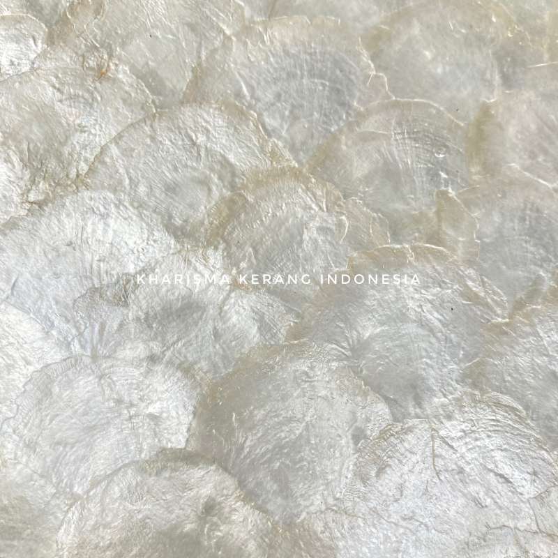 Jual Laminated Capiz Shell White (pelunakan Kerang Capiz) Capiz Shell ...