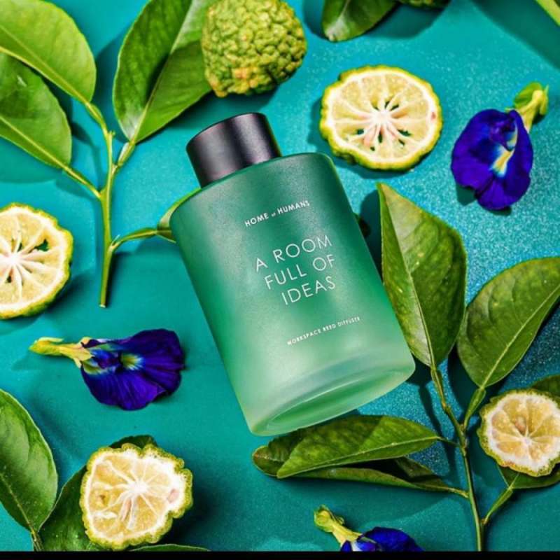 Home Of A Humans Lengkap Harga Terbaru Juni 2024 | Blibli