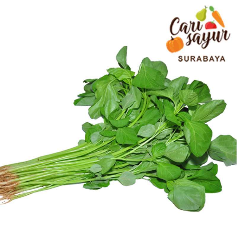 Promo CARI SAYUR - Bayam [1 kg] Diskon 26% di Seller Cari Sayur ...