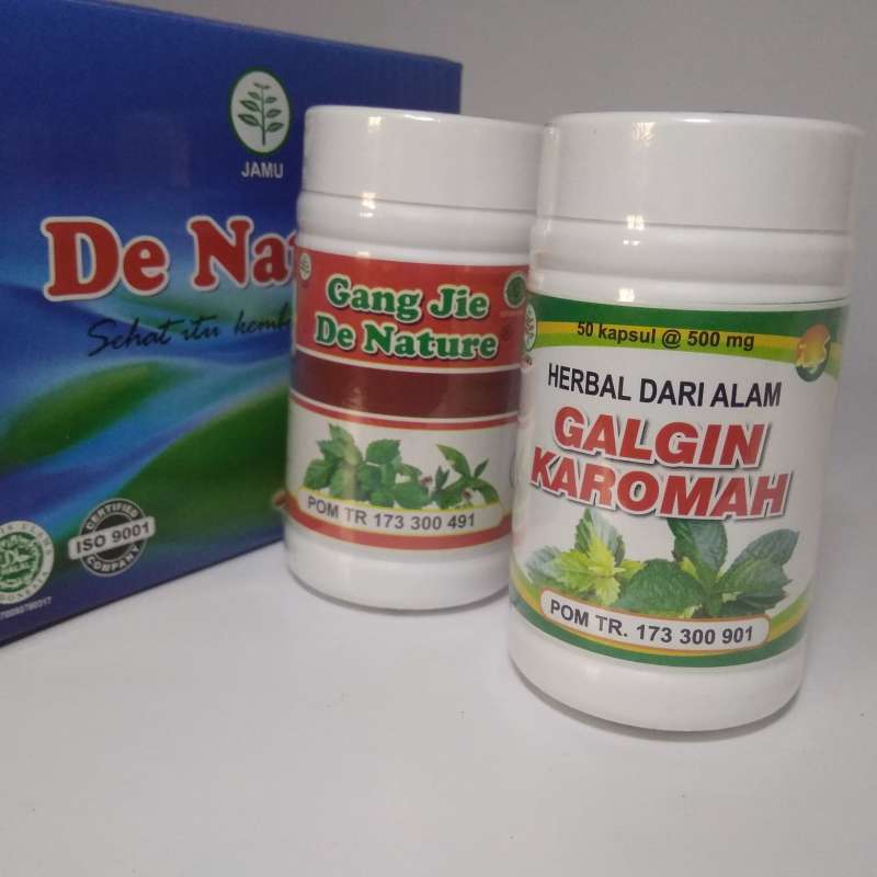 Jual Obat Batu Ginjal, Kencing Batu, Gagal Ginjal, Kencing Sakit, Batu Empedu Herbal DeNature di ...