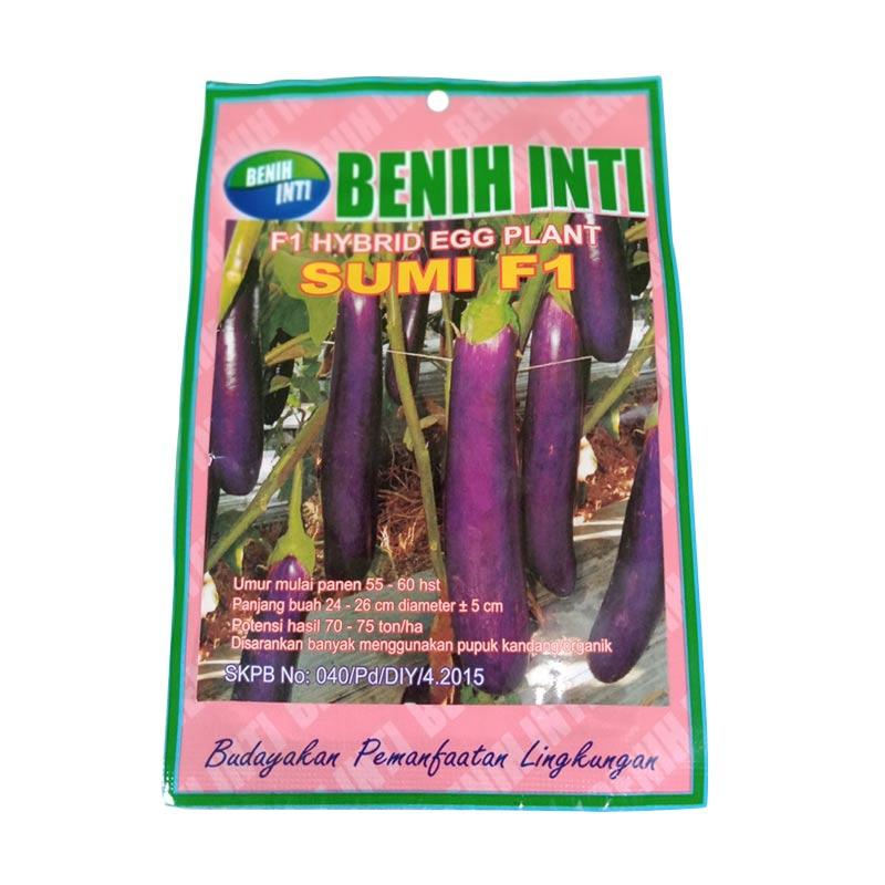 Jual Benih Inti Terong Ungu Sumi Hibrida F1 Benih Tanaman [200 Butir/ 1 ...