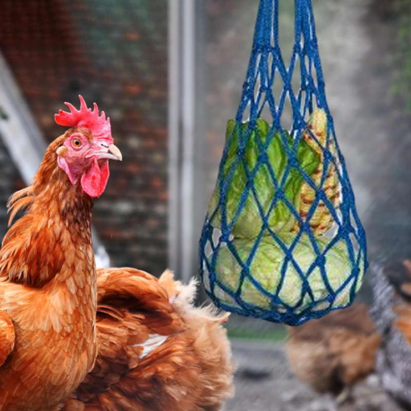 Promo Chicken Vegetable String Bag Fruit Treat Feeder with Hook for ...