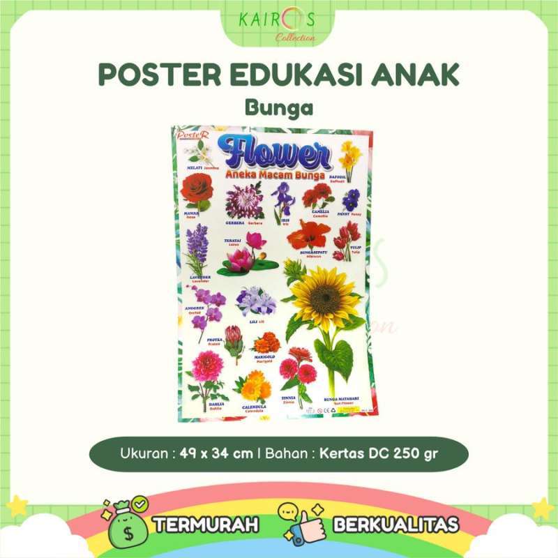 Jual Poster Dinding Belajar Anak Aneka Macam Bunga di Seller Kairos ...