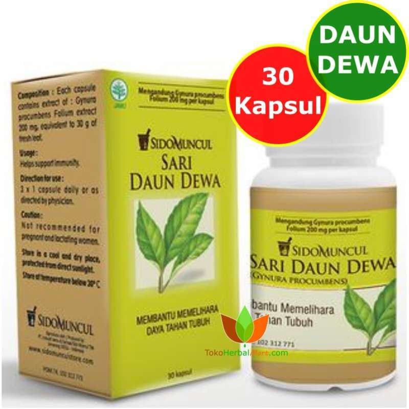 Promo 30 KAPSUL SARI DAUN DEWA SIDOMUNCUL, OBAT GANGLION, TUMOR ...