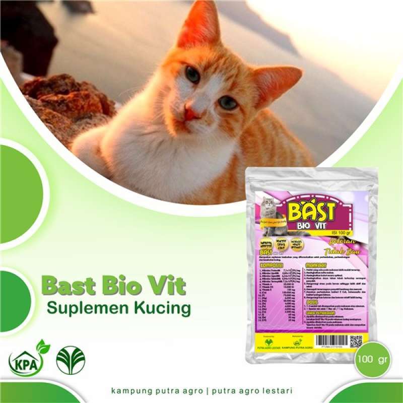 Jual BAST BIO VIT - Probiotik & Vitamin Kucing 100gr - Vitamin agar ...