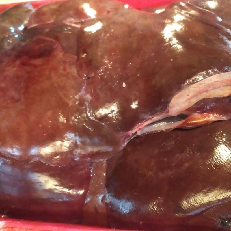 Hati Kambing Gratis Ongkir 🔥 Harga Murah Januari 2026