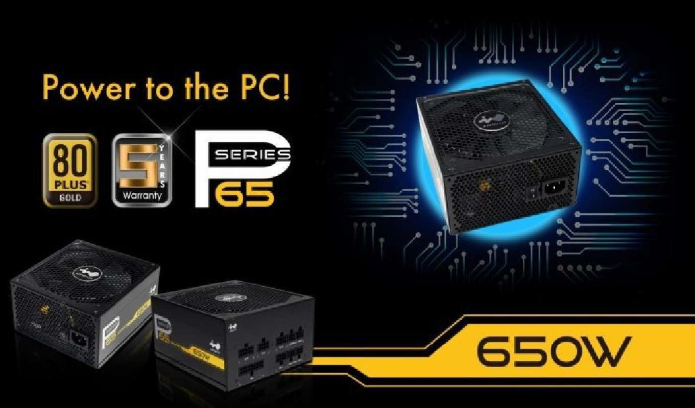 Jual InWin PSU P65 650W 80+ Gold - Fully Modular Flat Cables di Seller ...