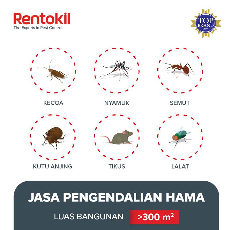 Jual Rentokil Indonesia Jasa Pengendalian Hama oleh Rentokil [Luas ...