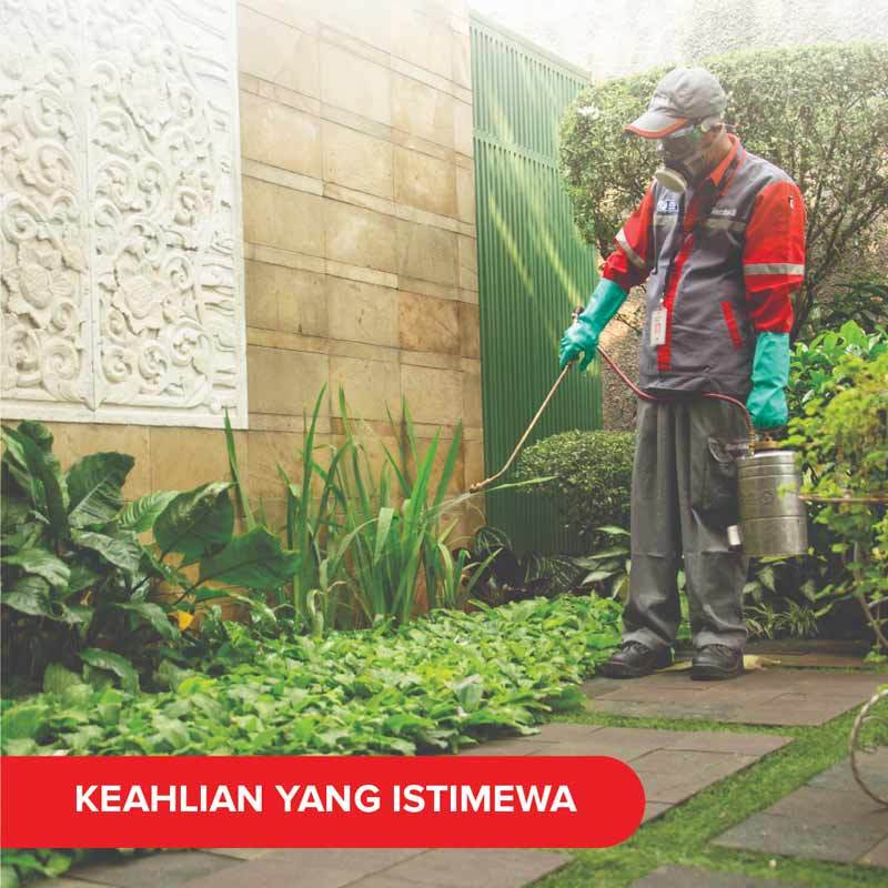 Jual Rentokil Indonesia Jasa Pengendalian Hama Oleh Rentokil [luas ...