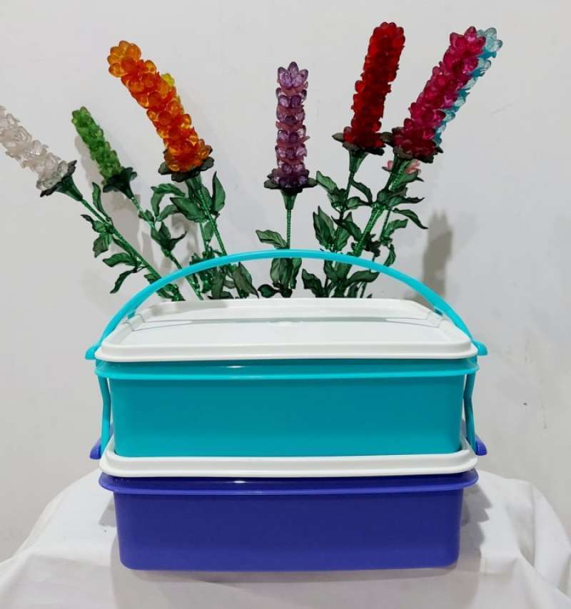 Jual Tupperware Large Carry All Set @ 2 Liter di Seller AM_id ...