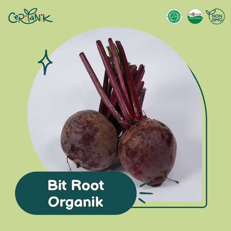 Toko Ceritanik Store Online Original & Harga Terbaik | Blibli