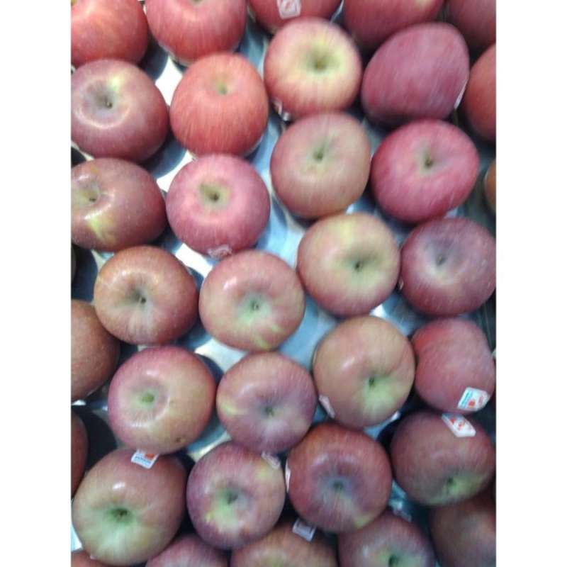 Jual Buah Apel Royal Gala di Seller CMF Shop - Kota Semarang, Jawa ...