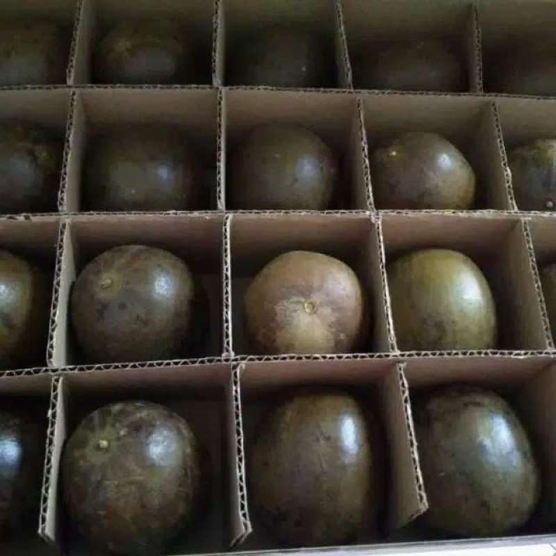 Jual Buah Lo Han Kuo / Lohankuo /Xiao Luo Han Guo/ Lou Han Kuo / Monk ...