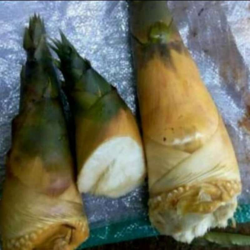 Jual Rebung Bambu Kuning 1 Kg Di Seller Nayla Taman - Sasak Panjang ...