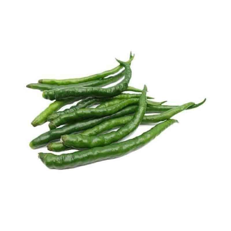 Jual Pusako Minang Cabe Hijau Keriting Petik [500 g] Halal di Seller ...
