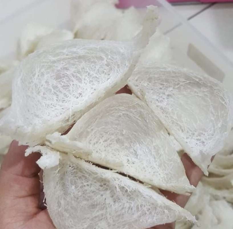 Jual Sarang Burung Walet Premium 100g Eksportir Quality Super Di Seller ...