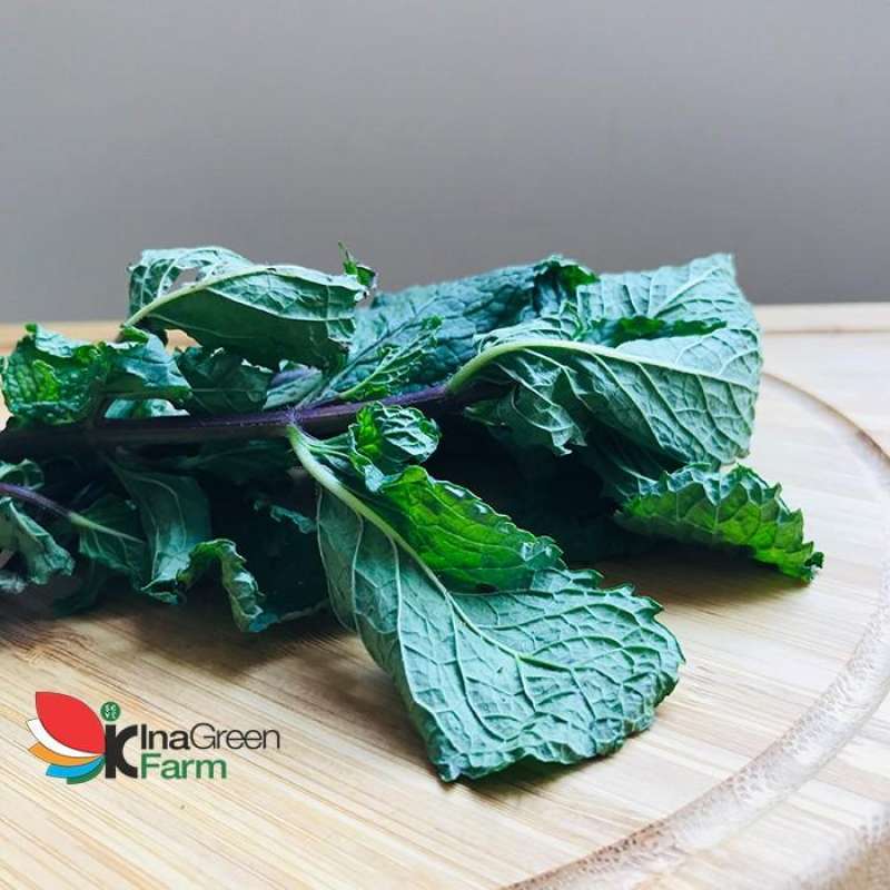 Jual Daun Mint Fresh 100 Gram Inagreen Farm Bandung di Seller Inagreen ...
