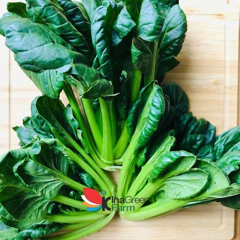 Jual Sayur Pagoda Organik Inagreen 250 Gram Bandung Halal di Seller ...