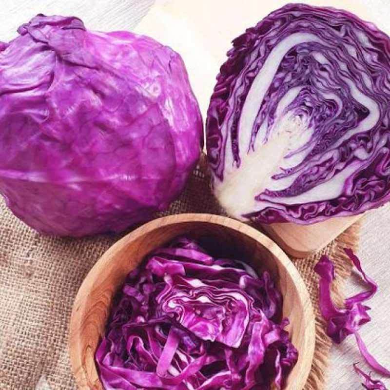 Jual Rumah Sayur Jakarta Selatan Kol Ungu [500 g] di Seller Rumah Sayur ...