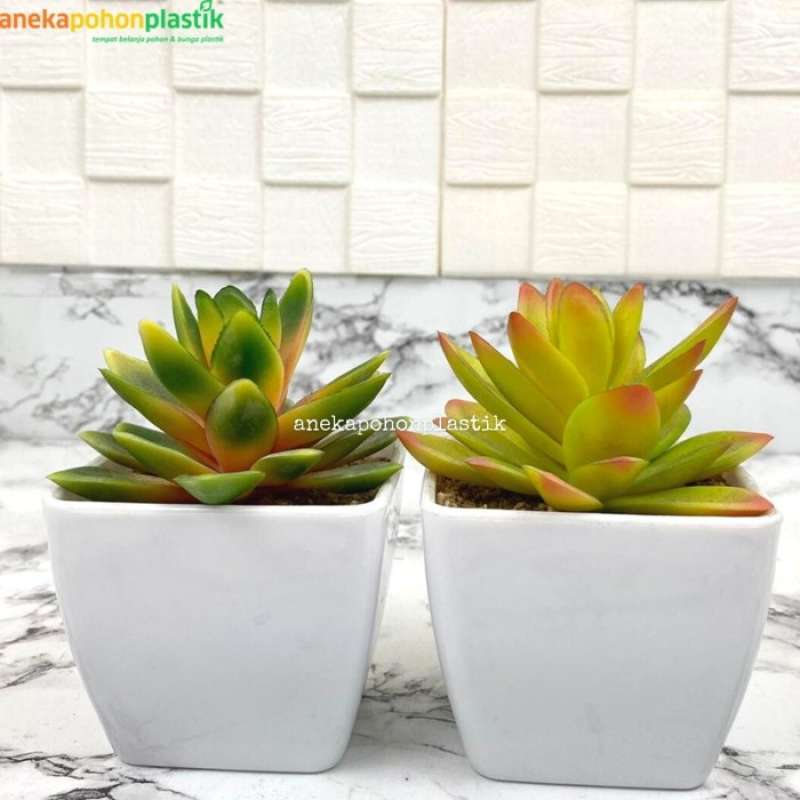 Jual Tanaman Mini Sekulen Kuncup Latex Artifisial Pot Melamin Kotak ...