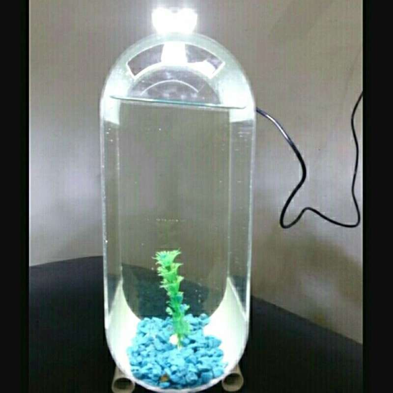 Jual Aquarium Mini Ikan Cupang Ikan Hias Akrilik Unik Dan Murah di ... Jual Aquarium Mini Ikan Cupang Ikan Hias Akrilik Unik Dan Murah di ...
