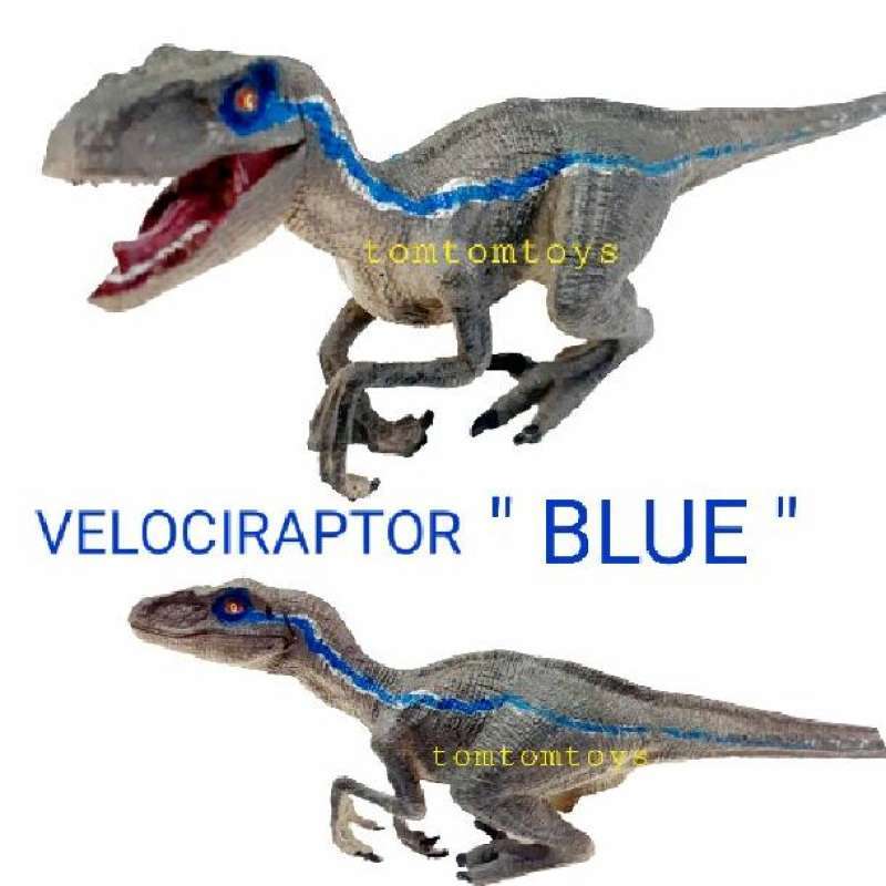 Jual Velociraptor Blue Dinosaur Action Figure Dinosaurus Jurassic ...