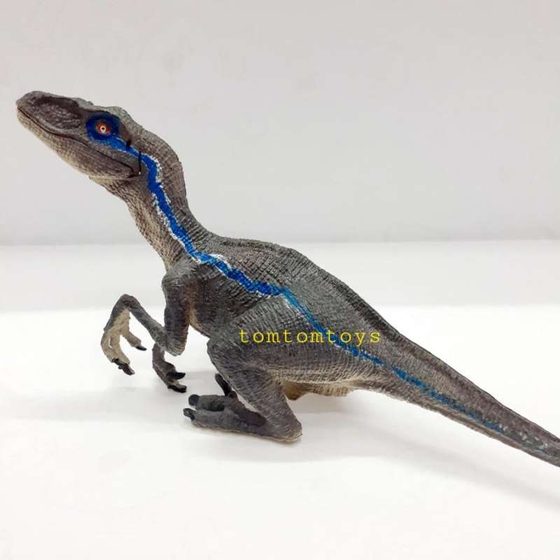 Jual Velociraptor Blue Dinosaur Action Figure Dinosaurus Jurassic ...