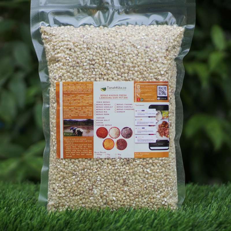 Jual Beras Sorgum Sosoh FRESH langsung dari Petani I White Sorghum I ...