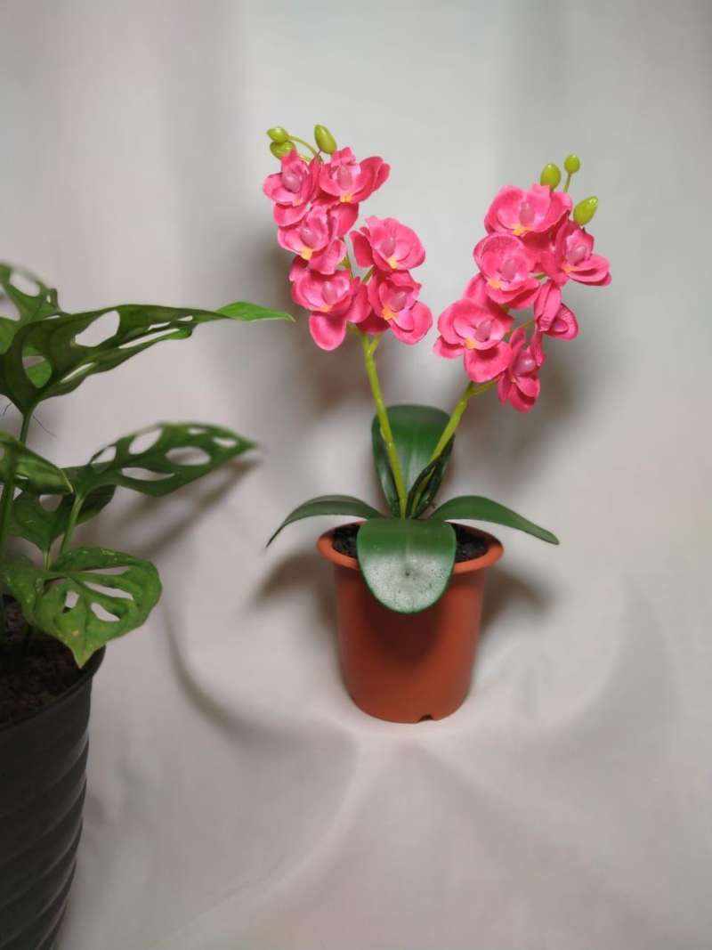 Jual Bunga Anggrek Merah Artificial di Seller Lilis taman - Sasak ...