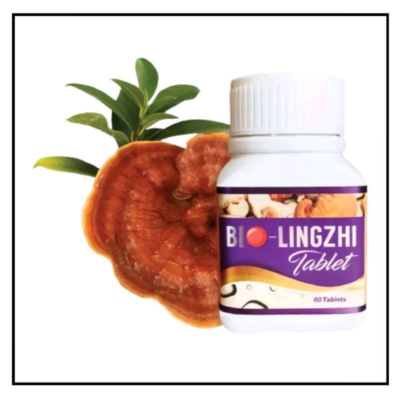 Jual Bio Lingzhi - Biolingzhi Isi 60 Tablet Obat Ginjal Tekanan Darah ...