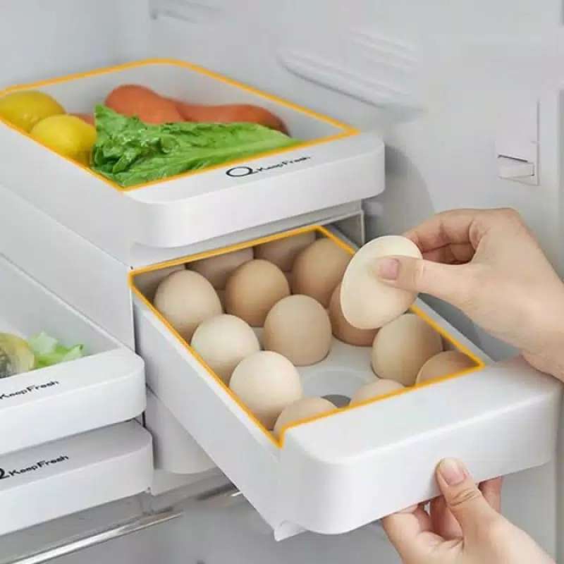 Jual Rak Telur 2 Susun Laci Kotak Telur 2 Tingkat Isi 30 Telur Warna ...