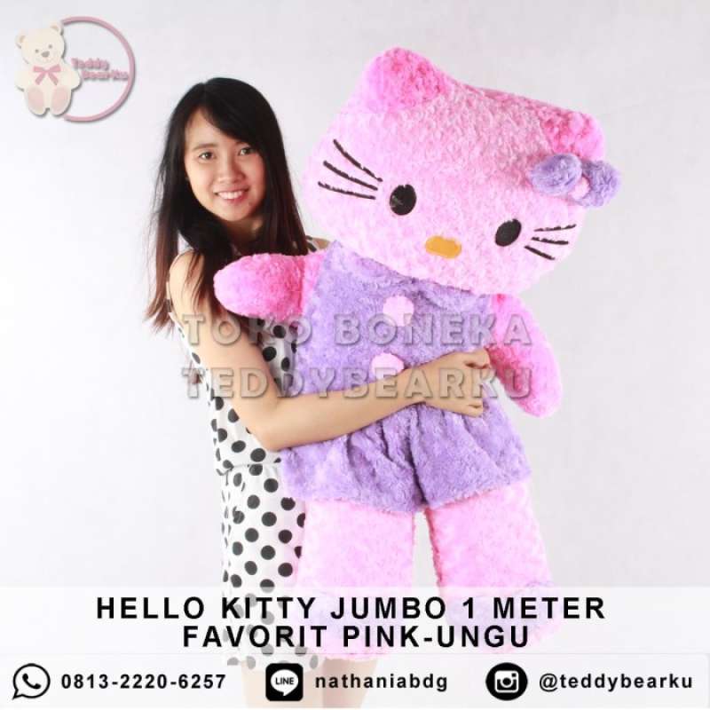 Jual Boneka Hello Kitty Jumbo 1 Meter Favorit Premium Pink-Ungu di ...