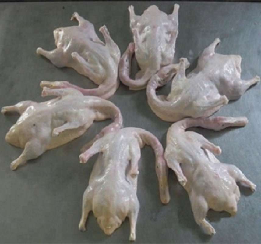 Jual Bebek Peking Karkas Frozen Utuh Ukuran 1,1kg [1100 Gr] Di Seller ...