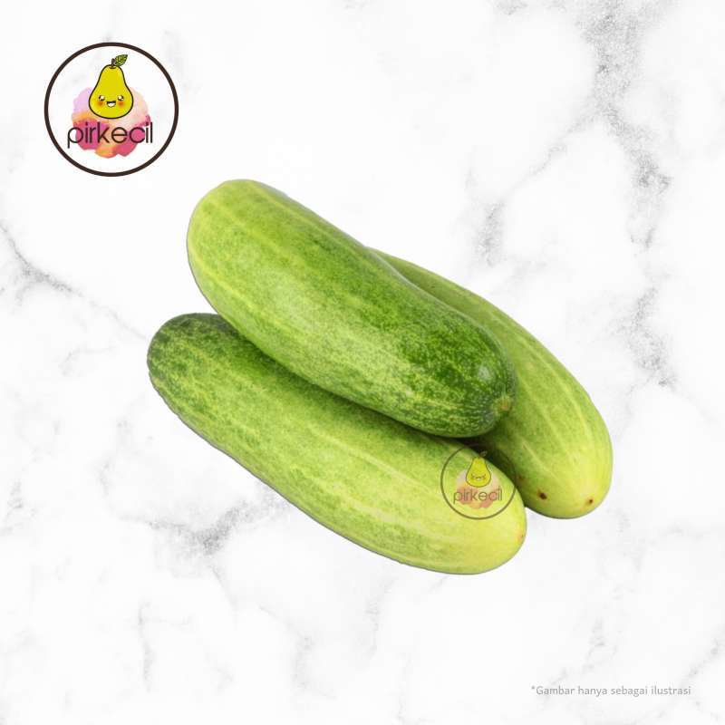 Jual Harga Timun 1 Kg Murah - Harga Grosir Juli 2024 | Blibli