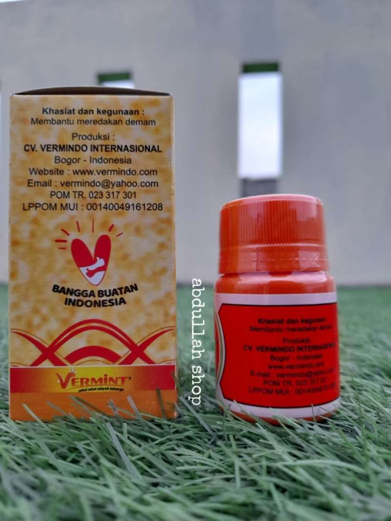 Jual Vermint | Vermin | Obat Penyakit Tifus / Tipes / Typus 12 Kaps ...