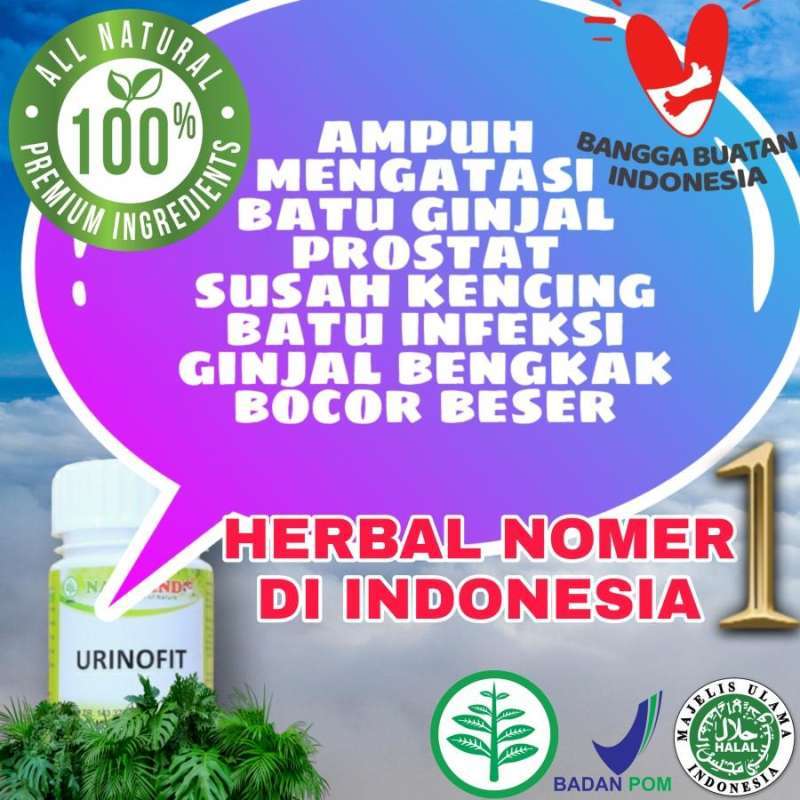 Jual Obat Herbal URINOFIT Batu Ginjal Urin Berbusa Inveksi Saluran ...