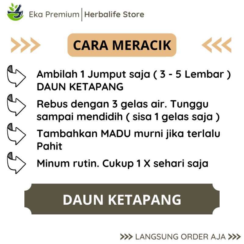 Promo Daun Ketapang Kering Asli Murni Organik Ramuan Herbal Jamu ...