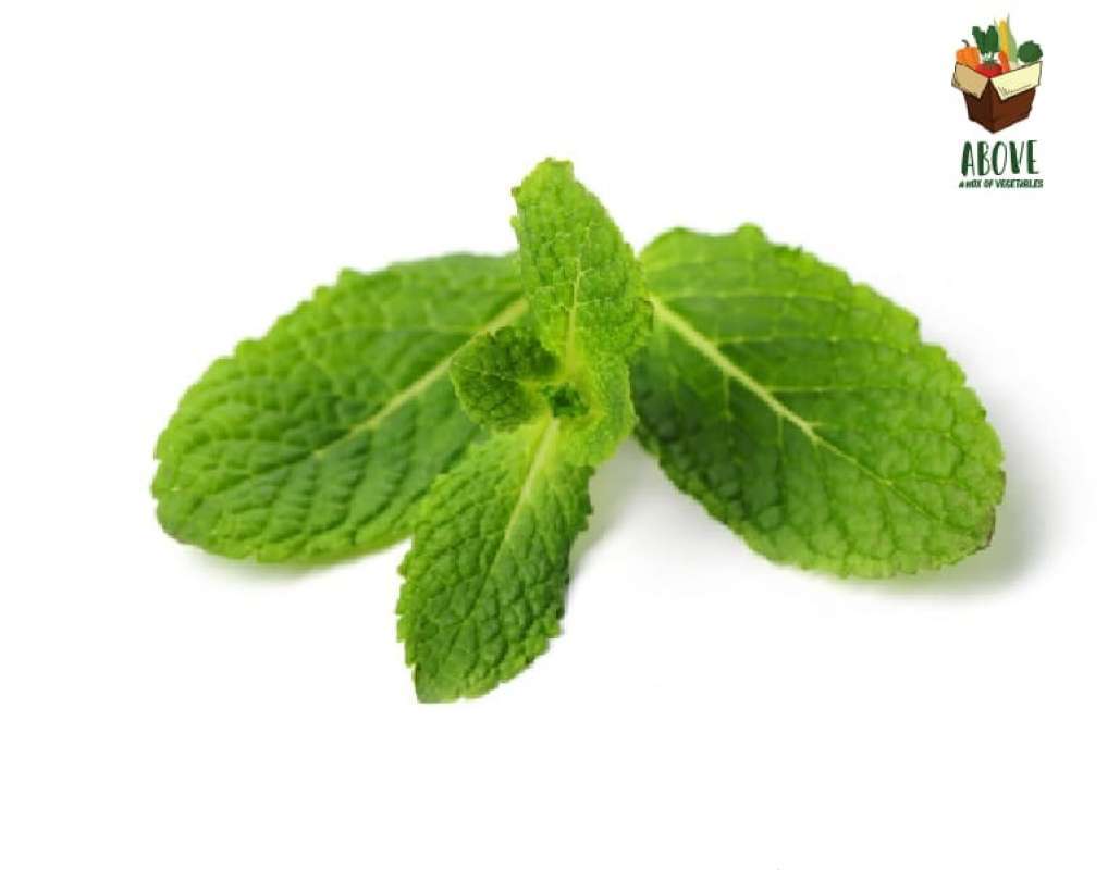 Promo Above (a Box Of Vegetables) Daun Mint [50g] Diskon 24% Di Seller ...
