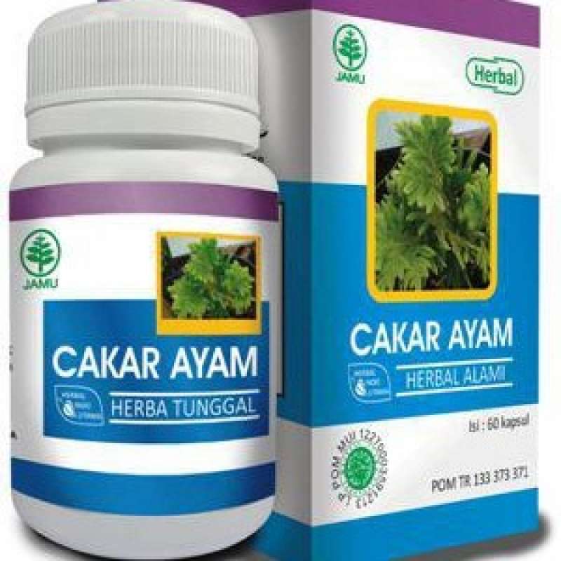 Jual Herbal Cakar Ayam Obat Radang Sakit Tenggorokan Pendarahan Mimisan ...