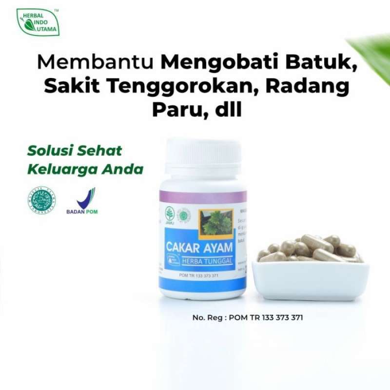 Jual Herbal Cakar Ayam Obat Radang Sakit Tenggorokan Pendarahan Mimisan Di Seller Stok Herbal ...