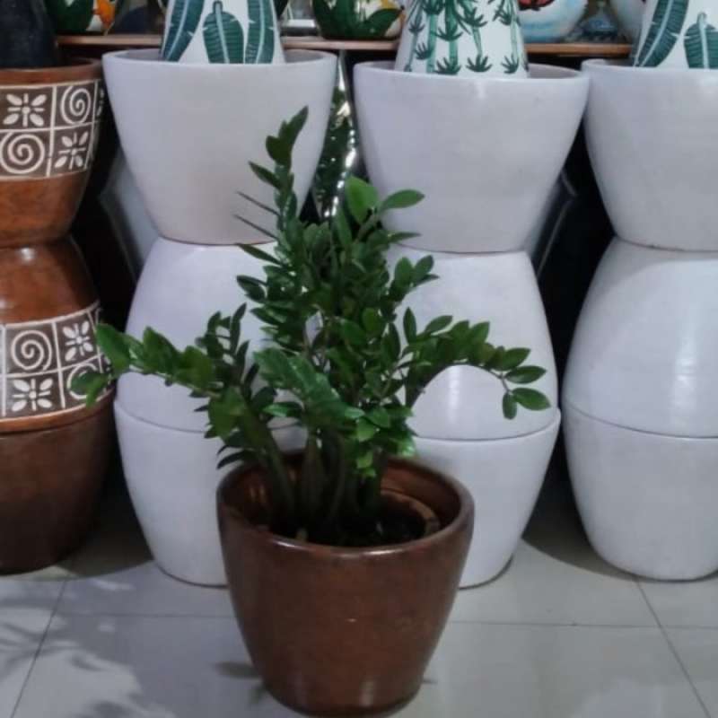 Promo Pot besar gerabah varian cokelat dan cokelat motif Diskon 29% di ...