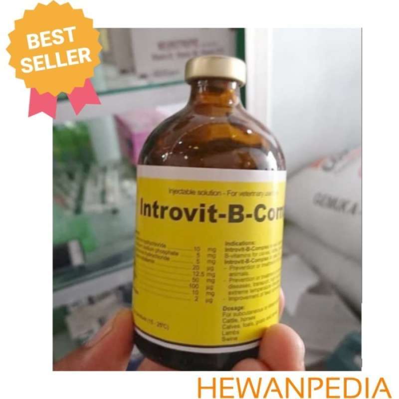 Promo Introvit B Plex 100 Ml - Vitamin B Kompleks + Biotin Bplex Hewan ...