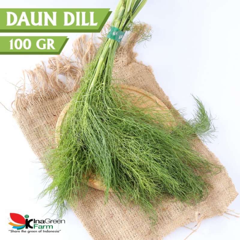 Jual Daun Dill Fresh 100 Gram Inagreen Farm Bandung di Seller Inagreen ...